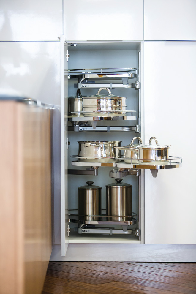 Arena Blind Corner Pivot Trays - Modern - Kitchen - Seattle - by User ...