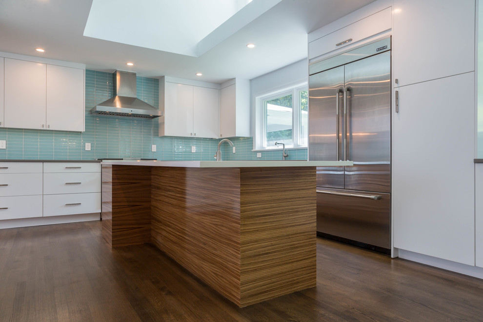 Bethesda, MD - Kitchen Renovation - Modern - Kitchen - DC Metro - by ...