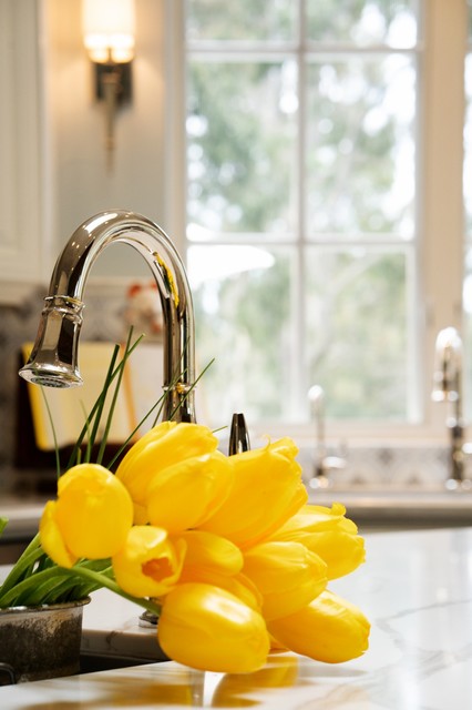 Blue Chateau - Classique - Cuisine - San Diego - par Tina Kuhlmann ...