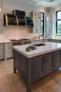 Bright and Bold Kitchen Design - Transitional - Kitchen - Chicago - by ...