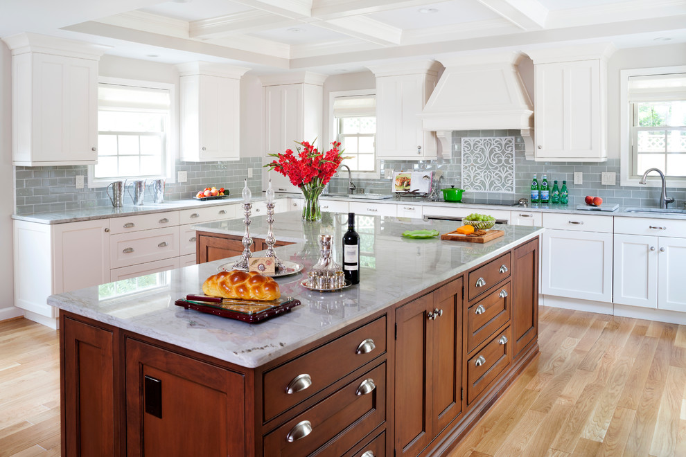 Bright, Elegant Kitchen - Traditional - Kitchen - DC Metro - by JACK ...