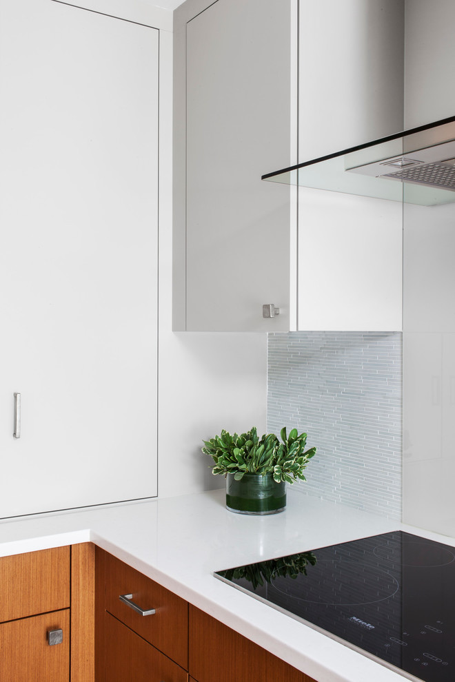Brook Path- Cabinet Detail - Modern - Kitchen - Boston - by LDa ...