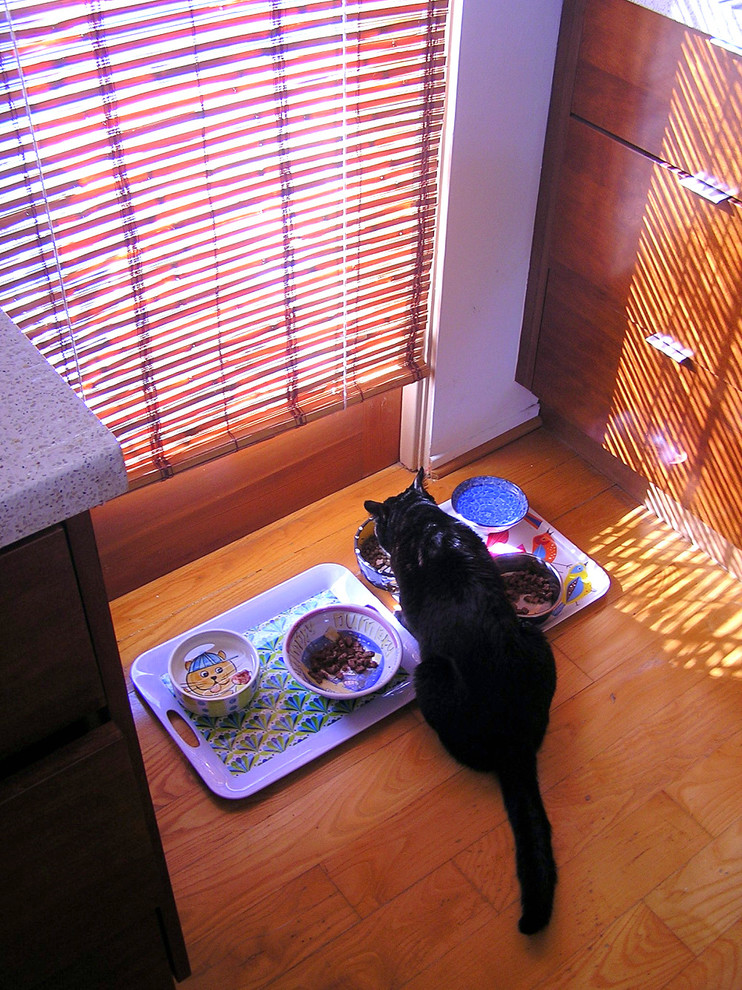 Cat Corner - Midcentury - Kitchen - Orange County - by Lisa Hallett ...