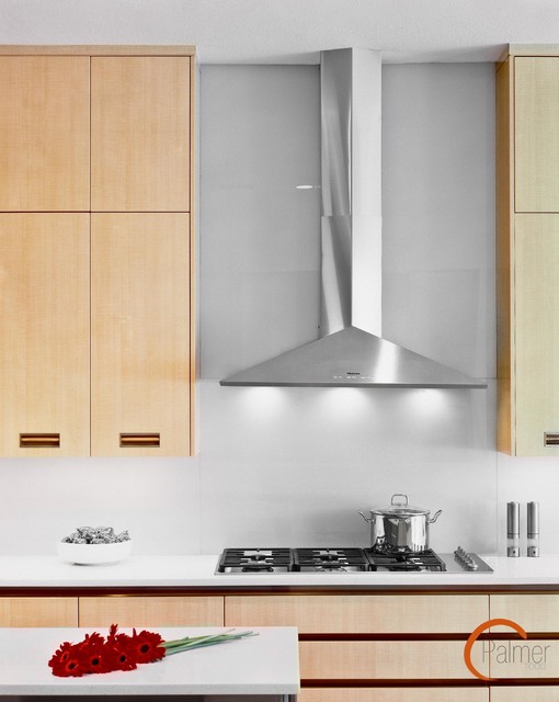 Chef Inspired Kitchen - Modern - Kitchen - Austin - by Palmer Todd ...