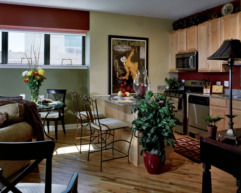 Chicago High Rise Interior Design - Traditional - Kitchen - Chicago ...