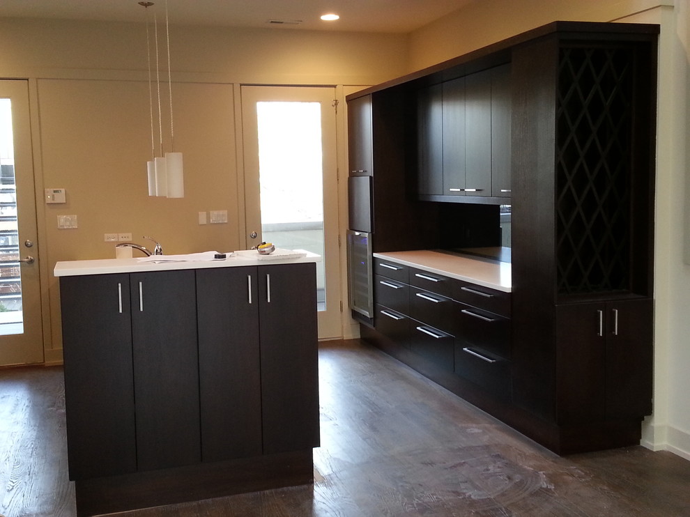 Chicago kitchen remodeling - Modern - Kitchen - Chicago - by E&D ...