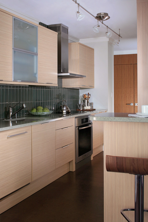 Chicago Tower - Modern - Kitchen - Chicago - by Cannarsa Structure and ...