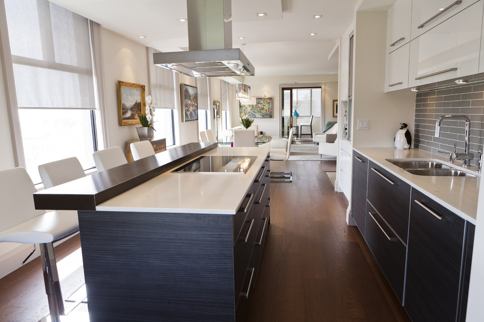 Condo Kitchen - Contemporary - Kitchen - Toronto - by BiglarKinyan ...