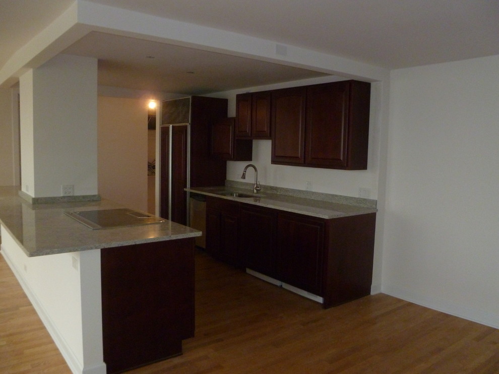 Condominium Kitchen Remodel Downtown Chicago - Transitional - Kitchen ...