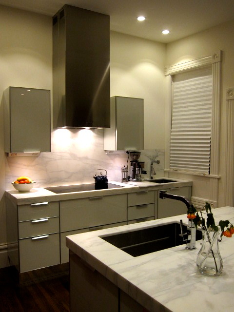 Contemporary Kitchen Renovation by Dresner Design | Chicago ...