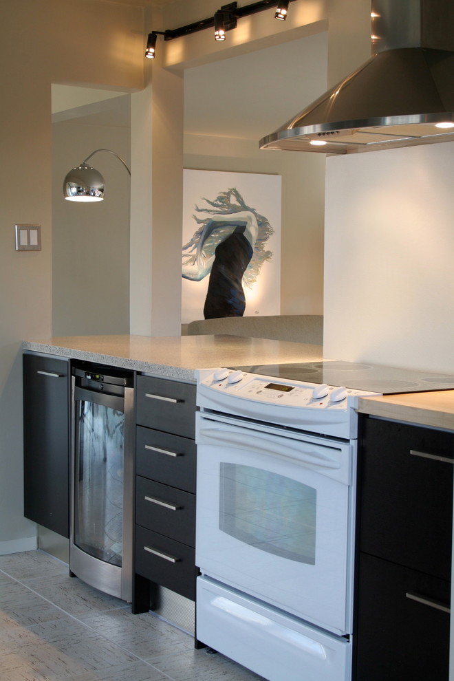 Contemporary Kitchens by Dresner Design - Contemporary - Kitchen ...