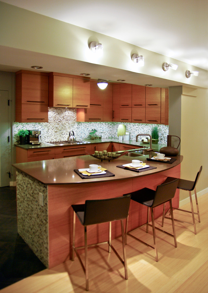 CONTEMPORARY OAK KITCHEN CHICAGO SUBURBS - Contemporary - Kitchen ...