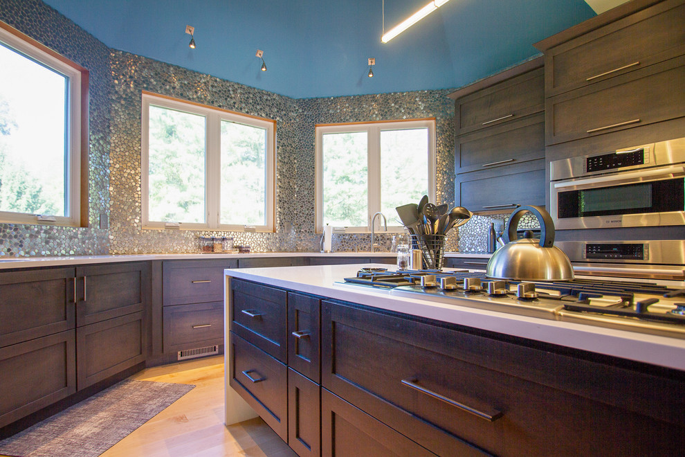 Contemporary Polished Chrome Hardware - Transitional - Kitchen ...