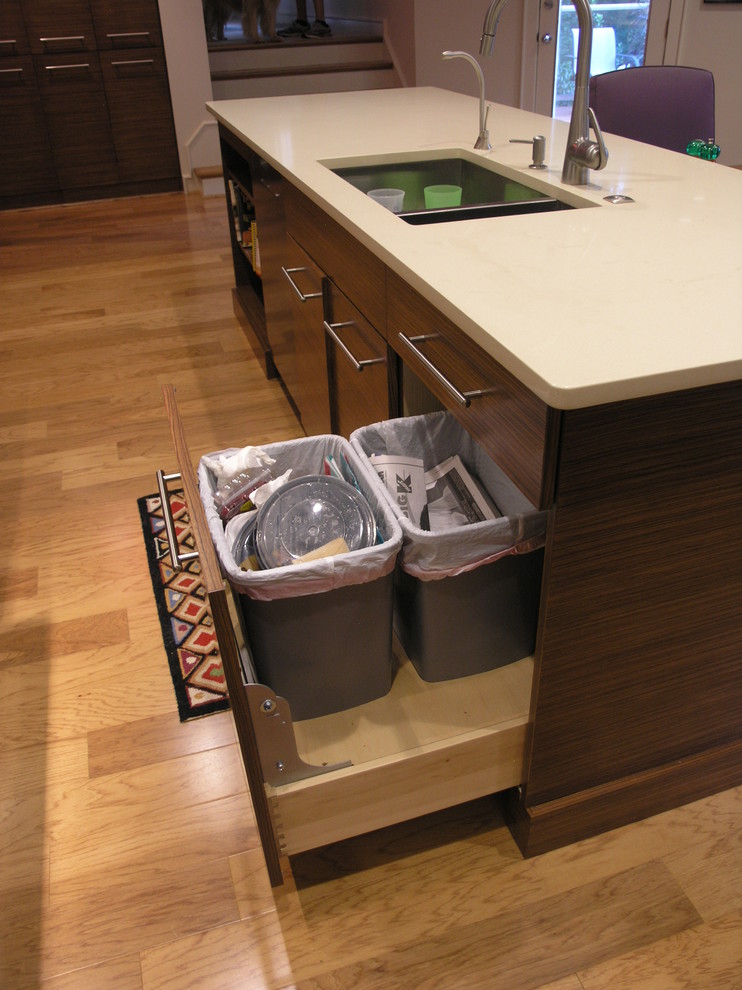 Contemporary Zebrawood Kitchen - Contemporary - Kitchen - Charlotte ...