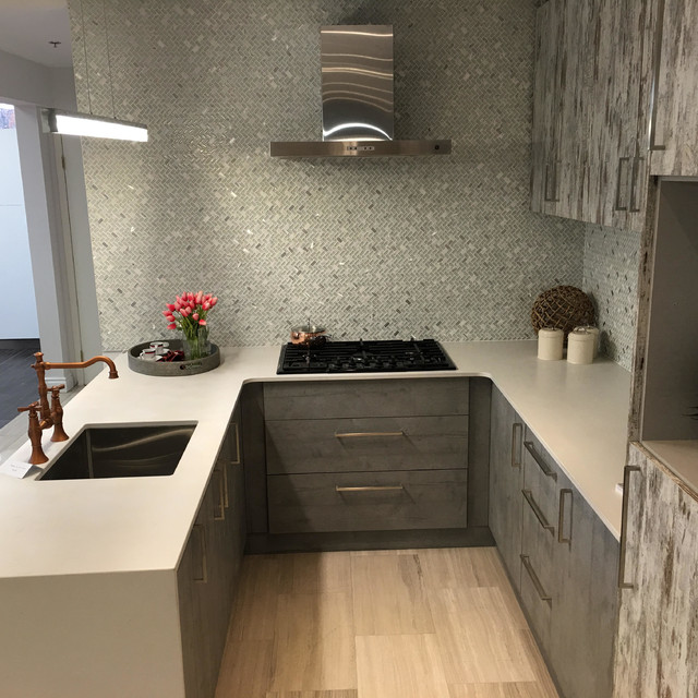 Designs - Modern - Kitchen - Toronto - by Apollo Kitchens Inc. | Houzz