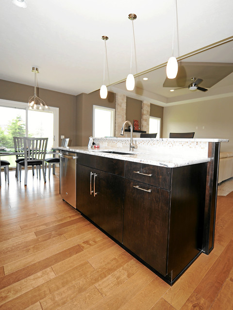 Dominica + Floor Plan in Fire Ridge Estates (Elkhorn, NE) - Modern ...