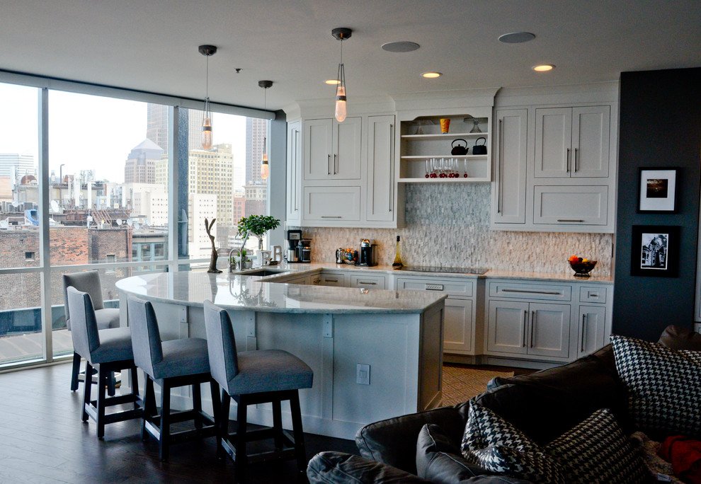Downtown Cleveland Kitchen Project - Contemporary - Kitchen - Cleveland ...
