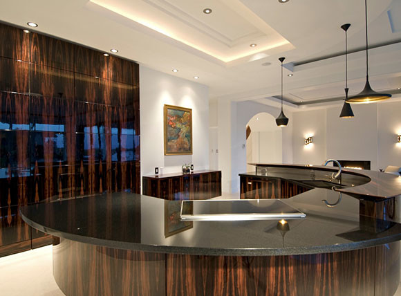 Macassar Ebony Cabinets | Cabinets Matttroy