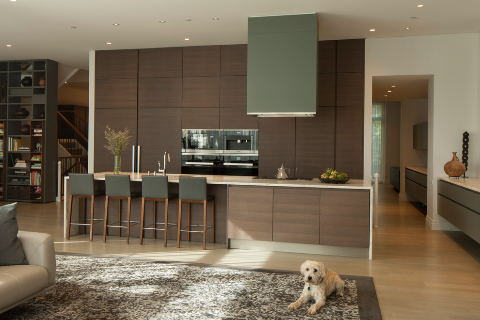 Form & Space - Modern - Kitchen - Chicago - by Environs Development | Houzz
