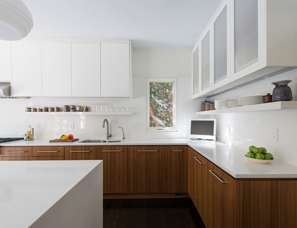 Foxhall Kitchen - Modern - Kitchen - DC Metro - by CARIB DANIEL MARTIN ...