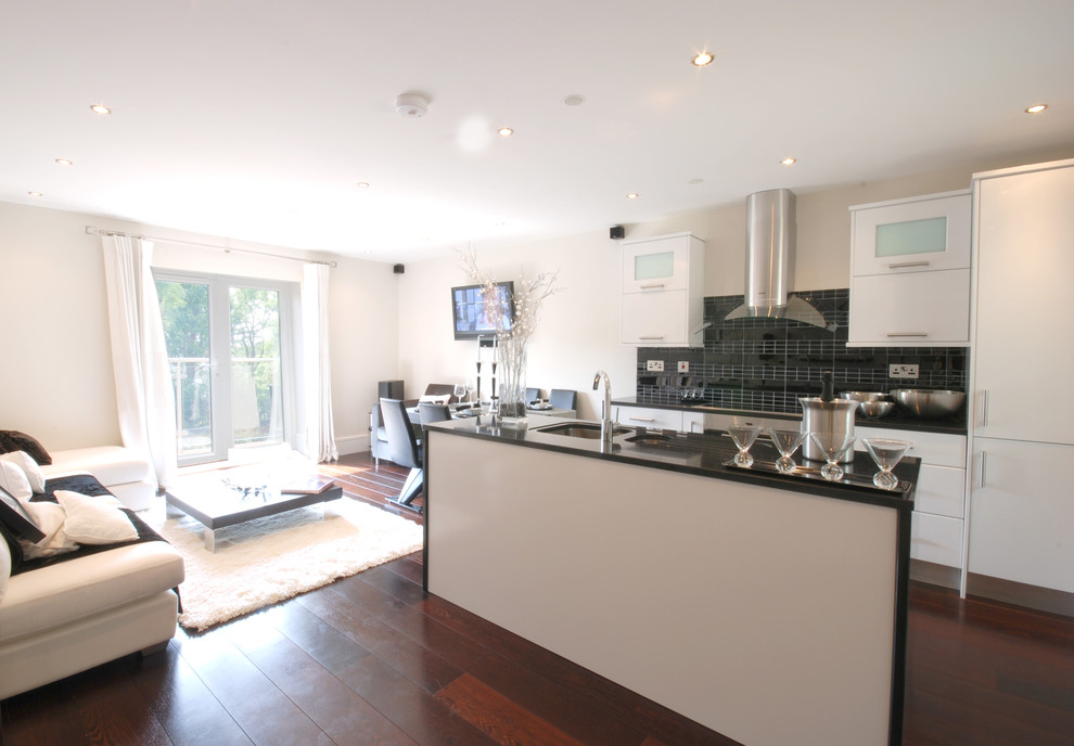 Galway Show Apartment - Contemporary - Kitchen - Dublin - by Habu ...