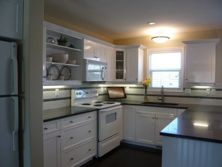 Garry's kitchen reno - Transitional - Kitchen - Other - by Funktional ...