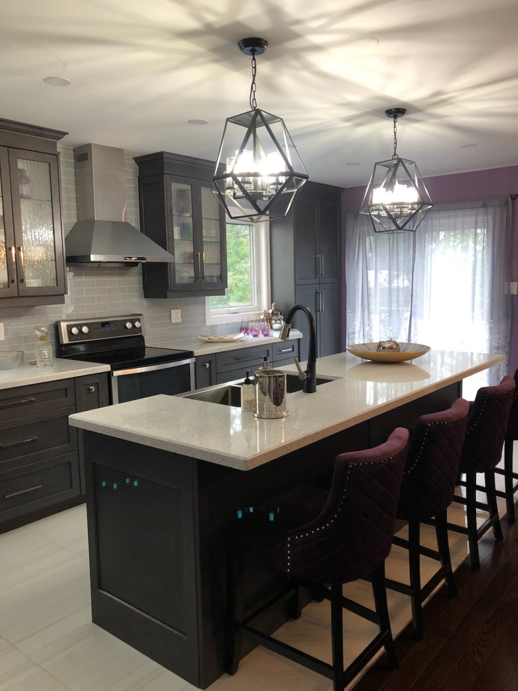 Grey & Purple Maple Kitchen - Modern - Kitchen - Toronto - by Total ...