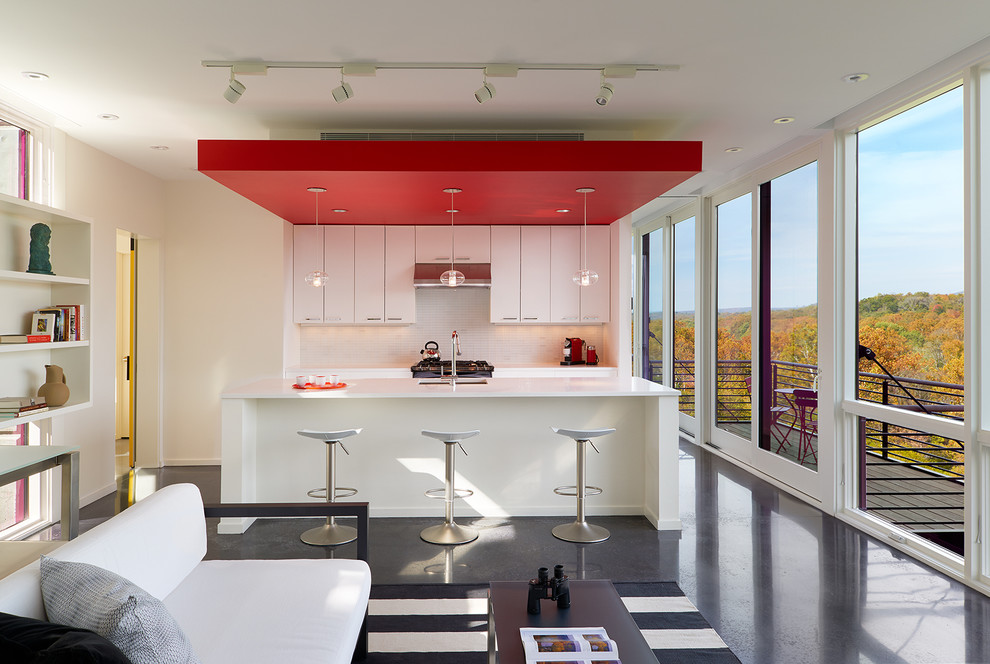Hawk's Nest - Contemporary - Kitchen - DC Metro - by Wiedemann ...