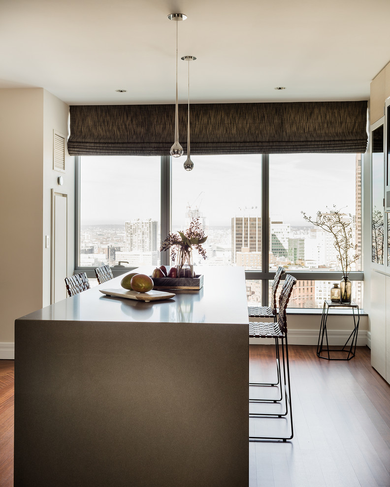 High-Rise Apartment - Contemporary - Kitchen - Boston - by Walker ...