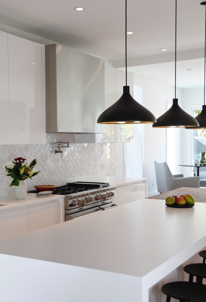 HOYNE STREET PROJECT - Modern - Kitchen - Chicago - by Austausch Design ...