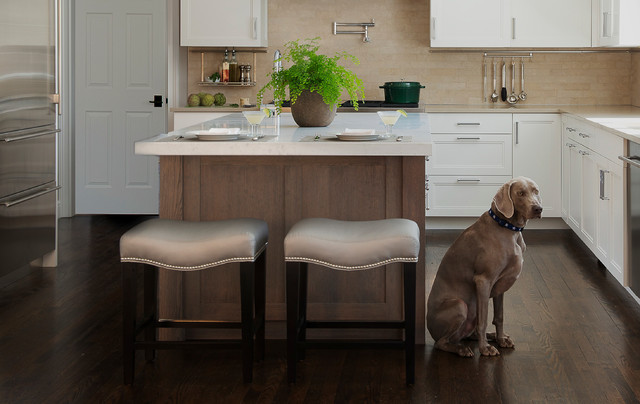In The Dog House! - Transitional - Kitchen - New York - by DRAPER-DBS ...