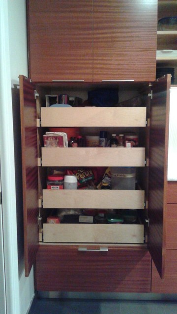 Interior Pull Out Pantry - Modern - Kitchen - Tampa - by Urban Concepts ...
