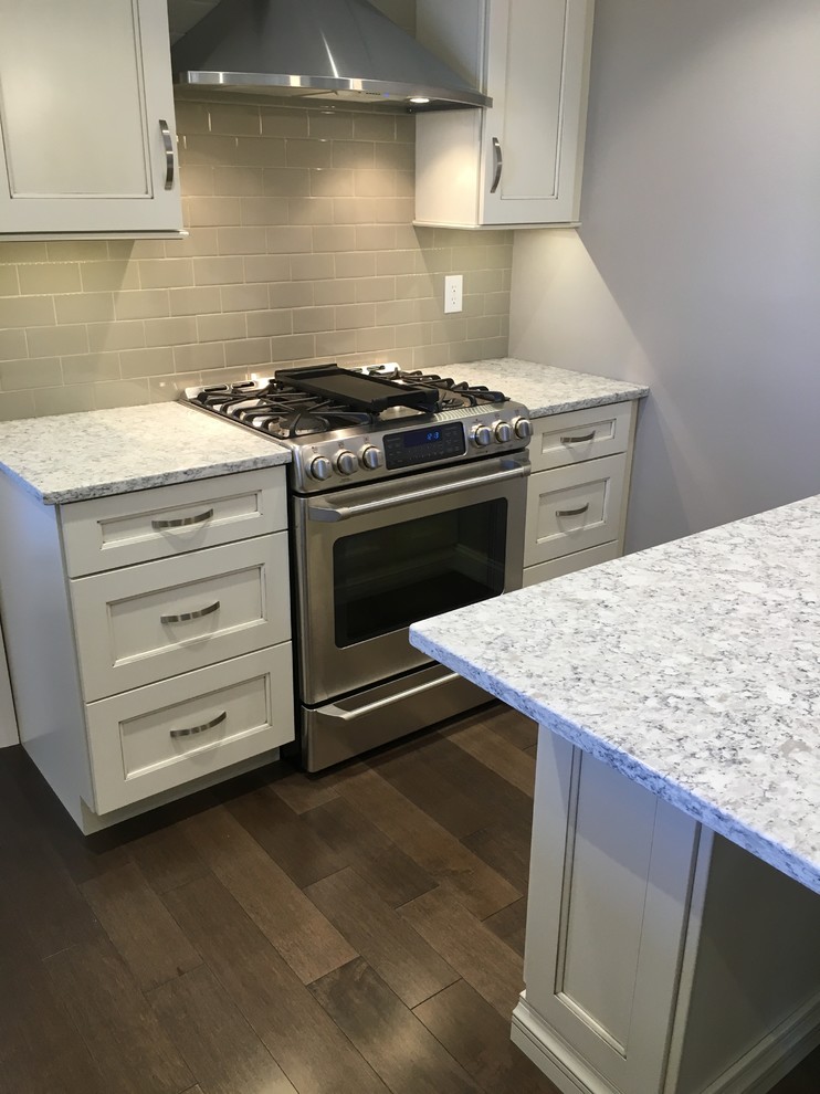 Jaynie Herger Projects - Traditional - Kitchen - Chicago - by KBL ...