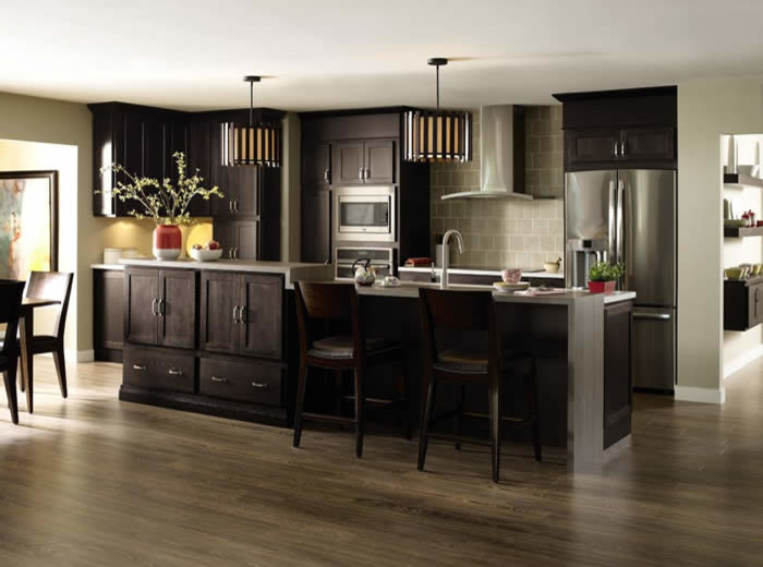 Kemper Echo Kitchens - Transitional - Kitchen - Other - by Kitchens By Premier | Houzz