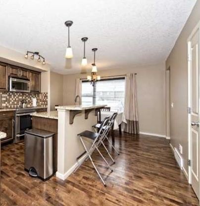 Kitchen Island Track Lights & Island Lights - Traditional - Kitchen ...