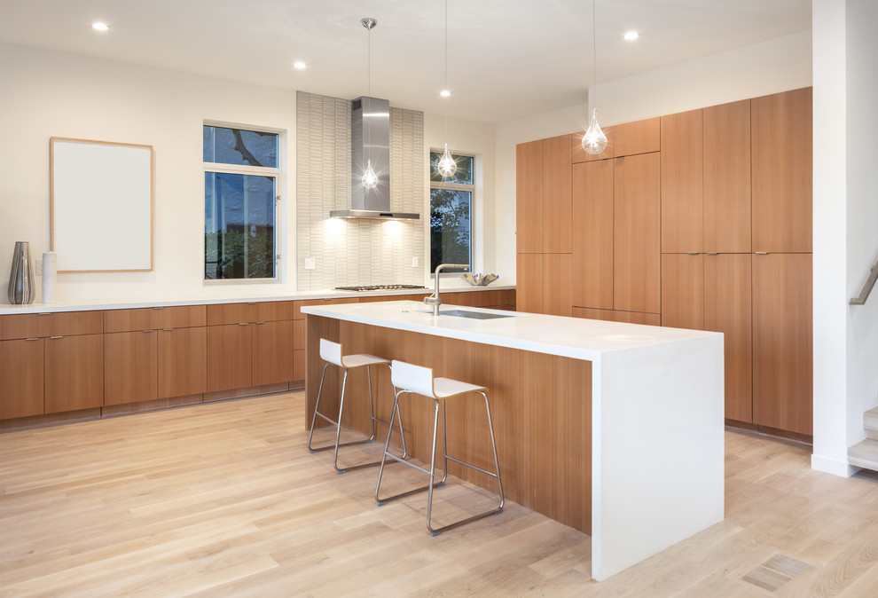 Kitchen Remodeling - Modern - Kitchen - San Francisco - by Shefer ...
