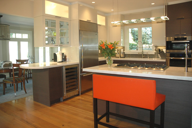 Lacquer and Wenge Kitchen - Contemporary - Kitchen - New York - by ...