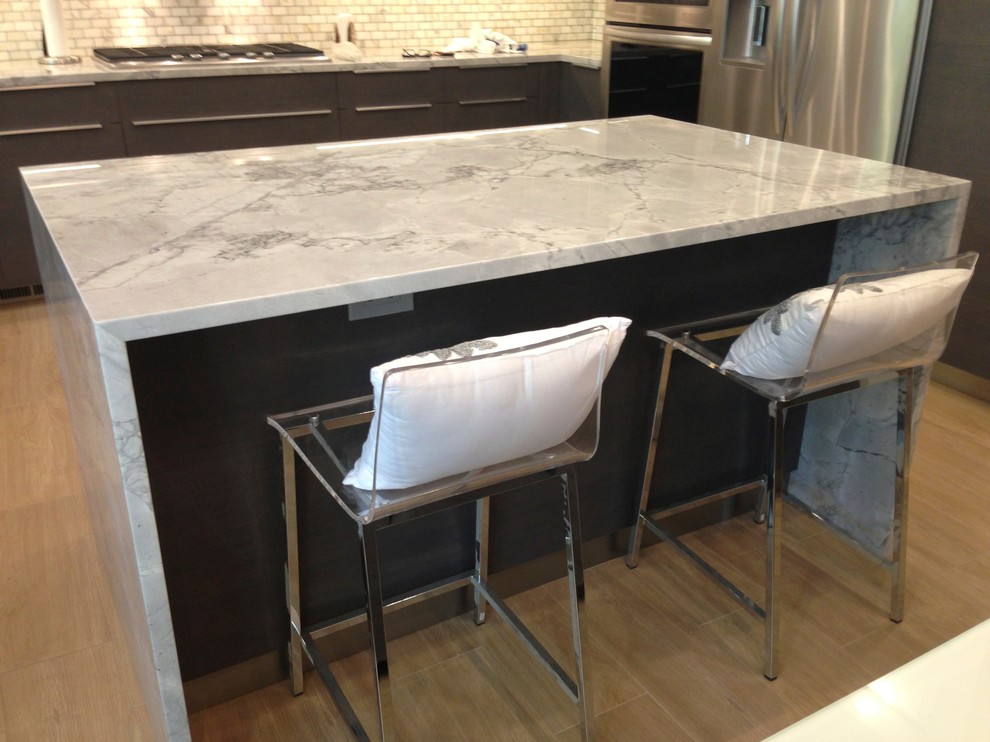 Lakeview kitchen - Modern - Kitchen - Chicago - by Delta Star Group Inc ...