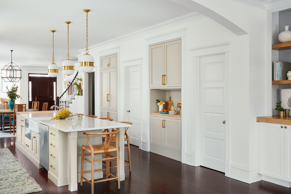 Lakeview Single Family Remodel - Transitional - Kitchen - Chicago - by ...