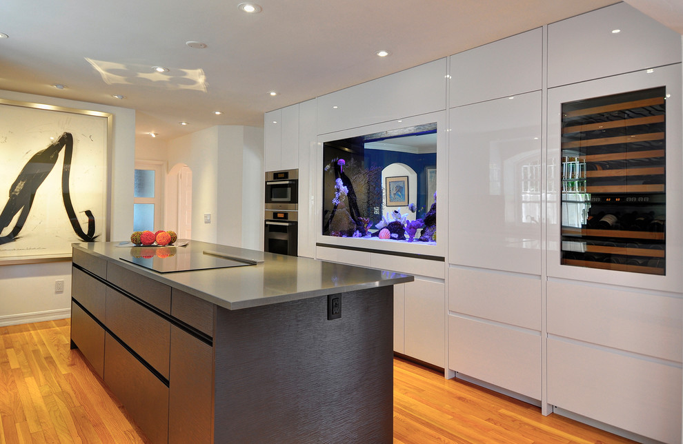 LEICHT Kitchen- La Jolla - Modern - Kitchen - San Diego - by Leicht San ...