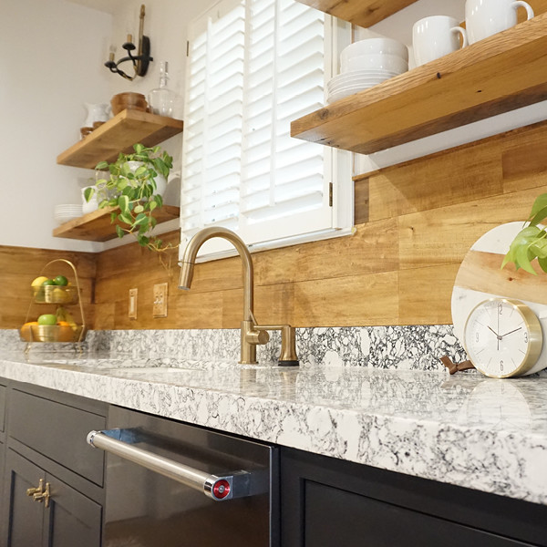 Lex LeBlanc’s High Contrast Home - Transitional - Kitchen - Minneapolis ...