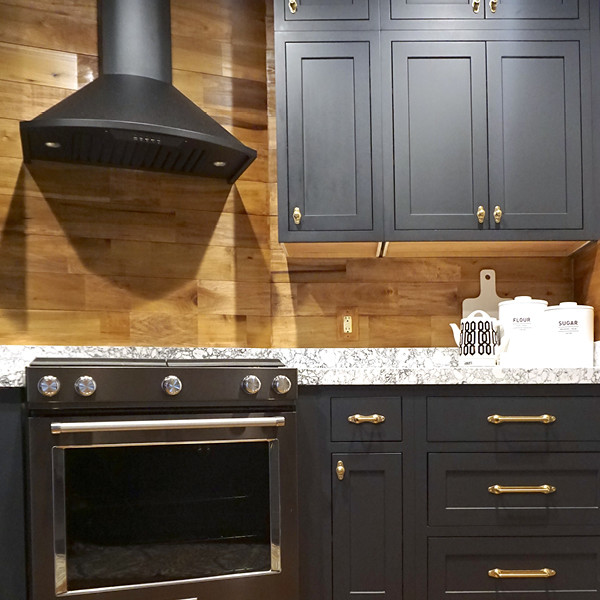 Lex LeBlanc’s High Contrast Home - Transitional - Kitchen - Minneapolis ...