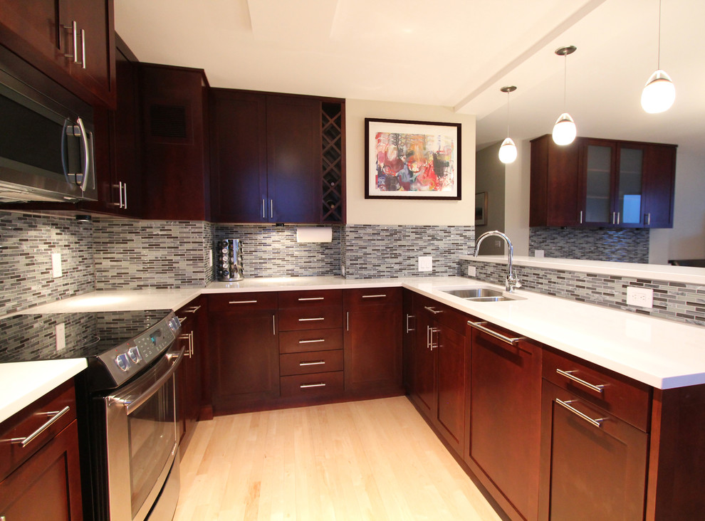 Lincoln Park High-rise Kitchen - Contemporary - Kitchen - Chicago - by ...