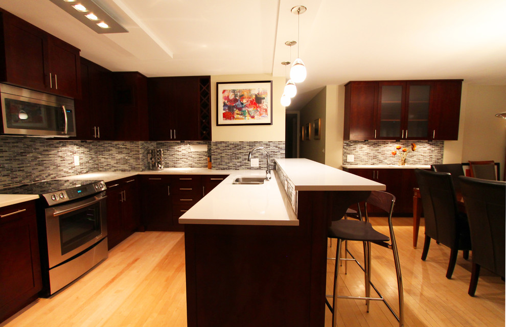 Lincoln Park High-rise Kitchen - Contemporary - Kitchen - Chicago - by ...