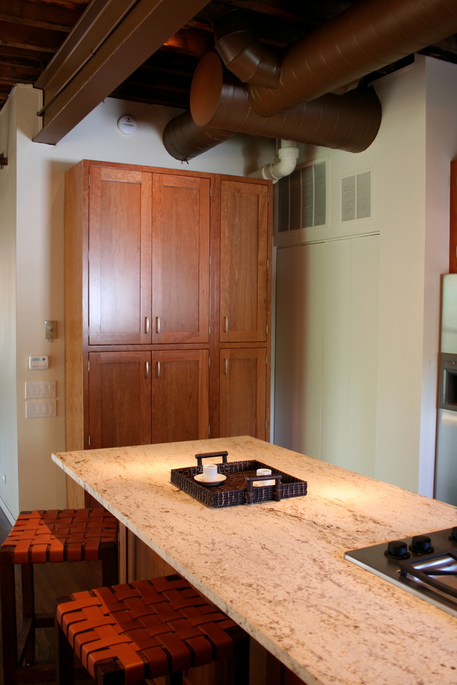 Lincoln Park Loft - Traditional - Kitchen - Other - by CMR Interiors ...