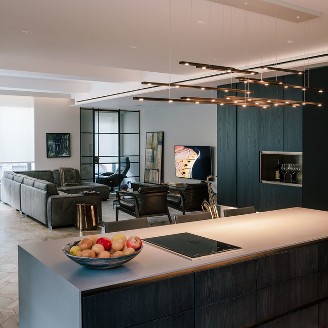 Manhattan Apartment - Modern - Kitchen - New York - by NY Loft | Houzz AU