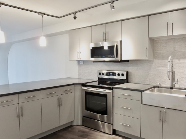 Marina Towers Remodel - Contemporary - Kitchen - Chicago - by Lakeside ...