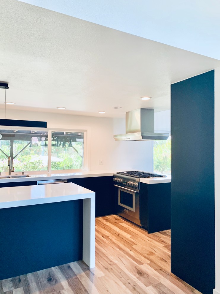 Matte Black Kitchen - Modern - Kitchen - Atlanta - by Jemm Interiors | Houzz