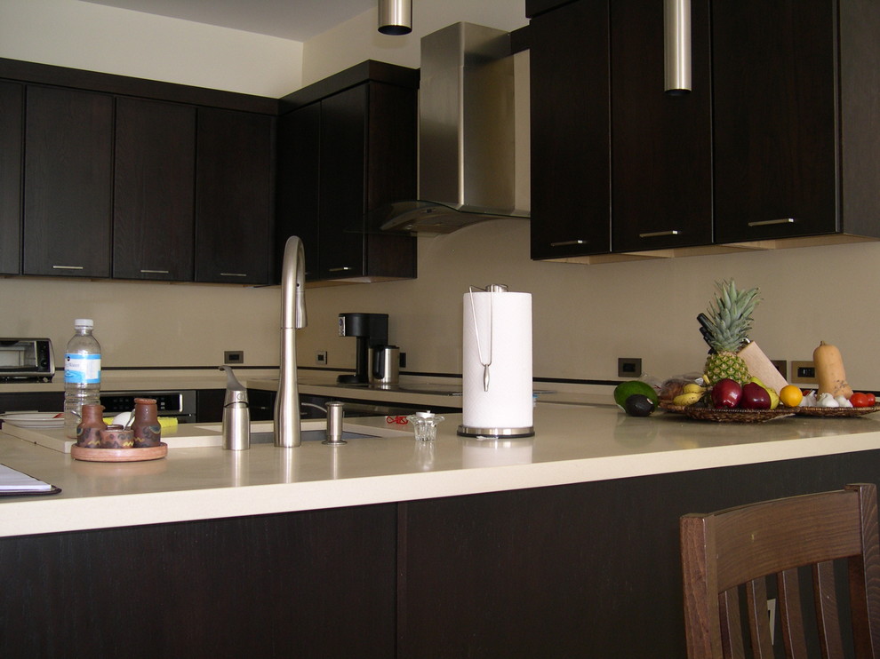 Miami Beach Contemporary Kitchen - Contemporary - Kitchen - Miami - by ...