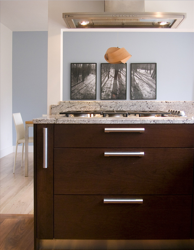 Minimalist Flow Remodel - Ann Arbor MI - Modern - Kitchen - Detroit ...